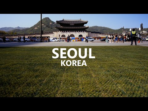 Opening a world of knowledge in Seoul
