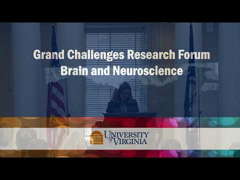Grand Challenges Forum: Cognitive Developmental Neuroscience