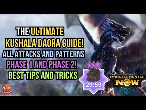 THE ULTIMATE KUSHALA DAORA GUIDE! All Attacks & Patterns! Phase 1 & Phase 2! BEST Tips & Tricks!