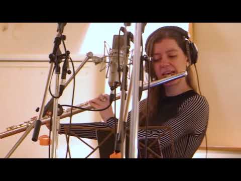 NEW: Auddict Daniela Mars CONCERT Flute - Gearspace