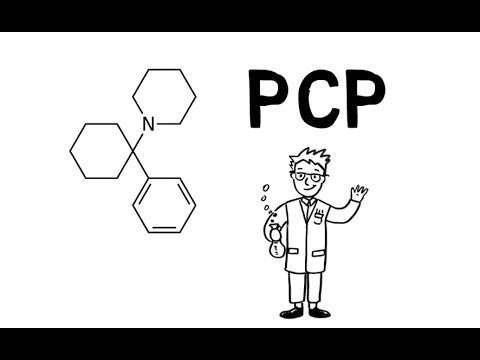 Phencyclidine (PCP)