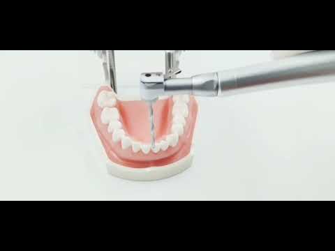 Crown Remover at Best Price in India