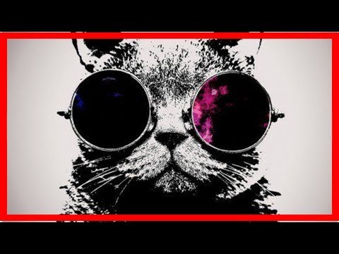 Cool names for your black cat