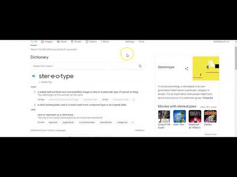 Danger of a Single Story Questions 1-4