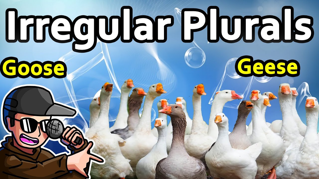 Irregular Plurals: A Rap Song
