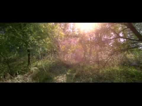 Antonio Vivaldi - Violin Concerto "The Four Seasons" / Interpreti Veneziani