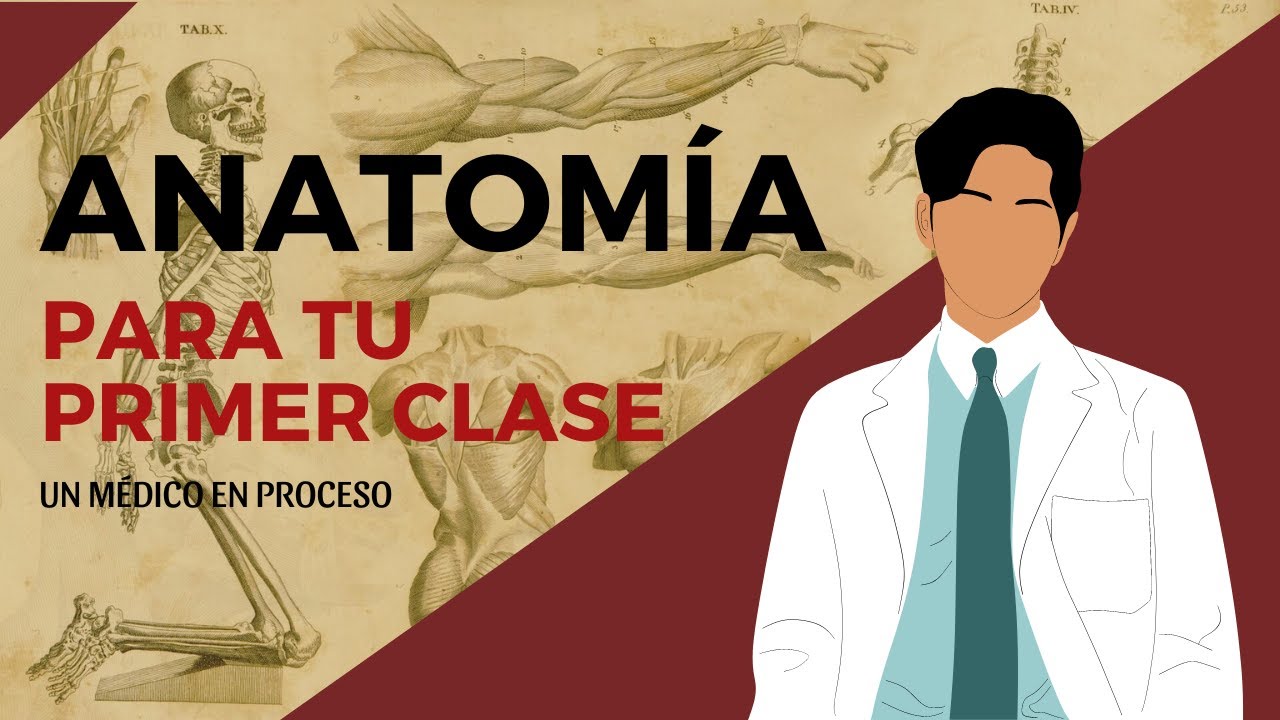 Lo que NECESITAS saber de ANATOMÍA para tu PRIMER CLASE| Generalidades + Libros de Anatomía