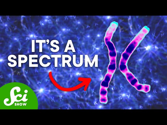 Understanding The Spectrum Of Human Sex Beyond Binary Definitions Galaxy Ai Galaxy Ai