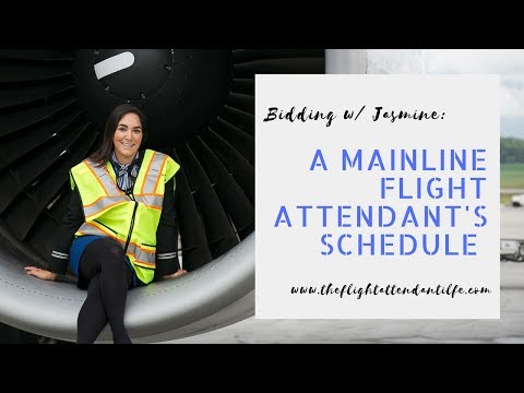 How A Flight Attendant At A Major Airline Chooses A Schedule (INSIGHT Into 'Flight Attendant Life')