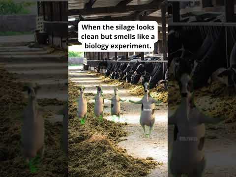Your cows don’t want a science project—they want consistent feed. 🐄🧫