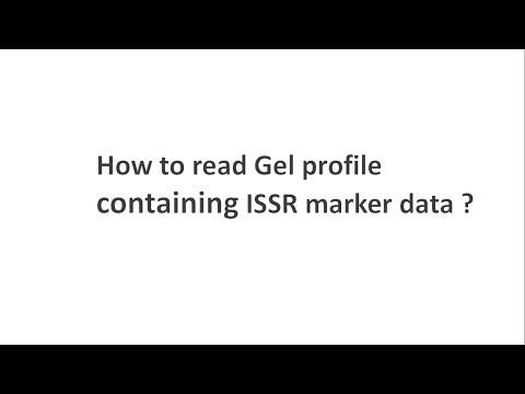 How to read gel profile containing ISSR markers