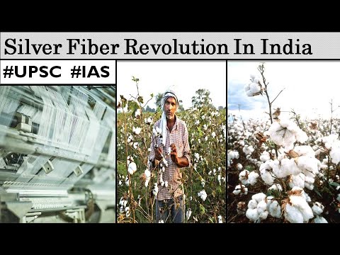 Silver Fiber Revolution in India-UPSC- Agricultural Revolutions In India- All Government Exam