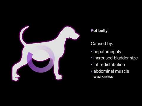 How to Recognise Cushing's Disease: P Disease