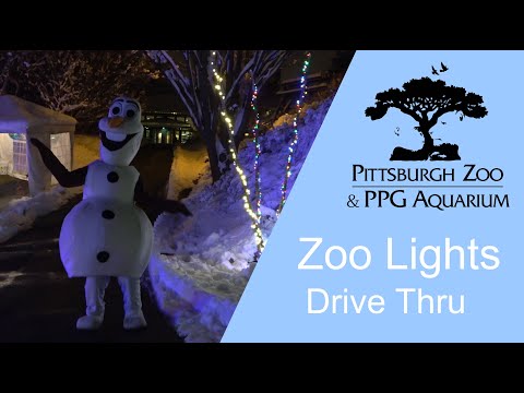 Pittsburgh Zoo & PPG Aquarium "Zoo Lights" 2020 with Olaf and More