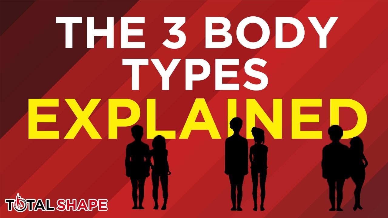 The 3 Body Types Explained - Total Shape
