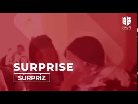 One Day, One Word ! - Surprise