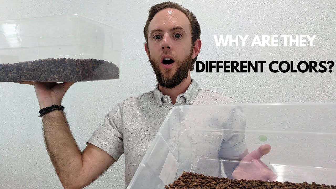 Why are my coffee bean colors DIFFERENT?