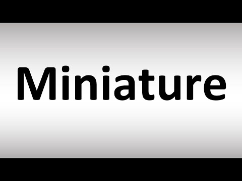 How to Pronounce Miniature