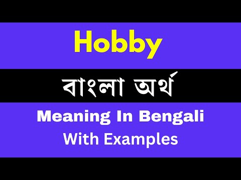 Hobby Meaning In Bengali/Hobby শব্দের বাংলা ভাষায় অর্থ অথবা মানে কি