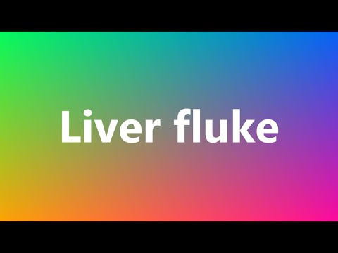 Liver fluke - Medical Definition