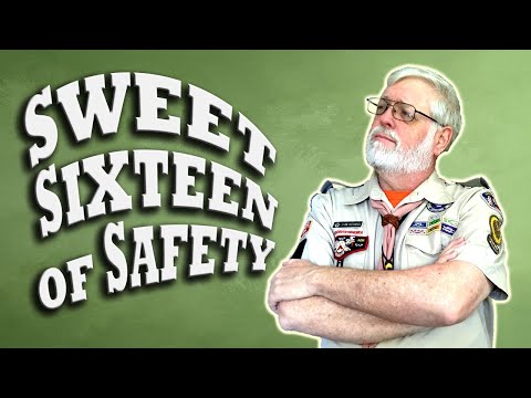 The Sweet Sixteen of BSA Safety