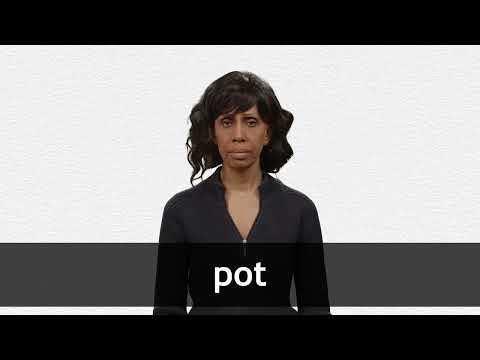 POT definition and meaning | Collins English Dictionary