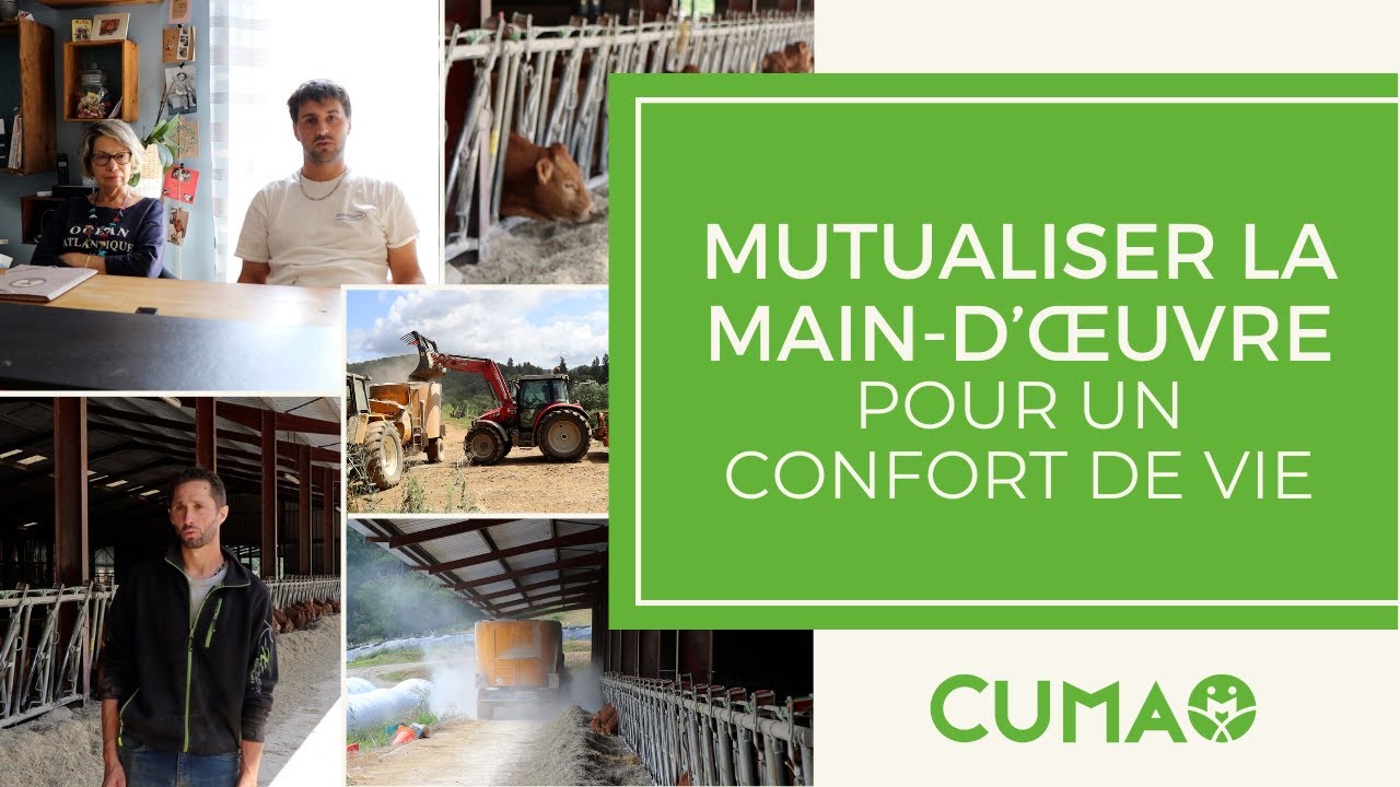 Un groupement d’employeurs pour mutualiser la main-d’œuvre