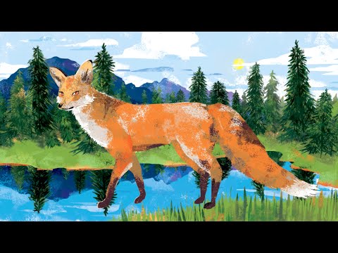 What Do You See? BOREAL FOREST! Animated animal puzzle for kids!