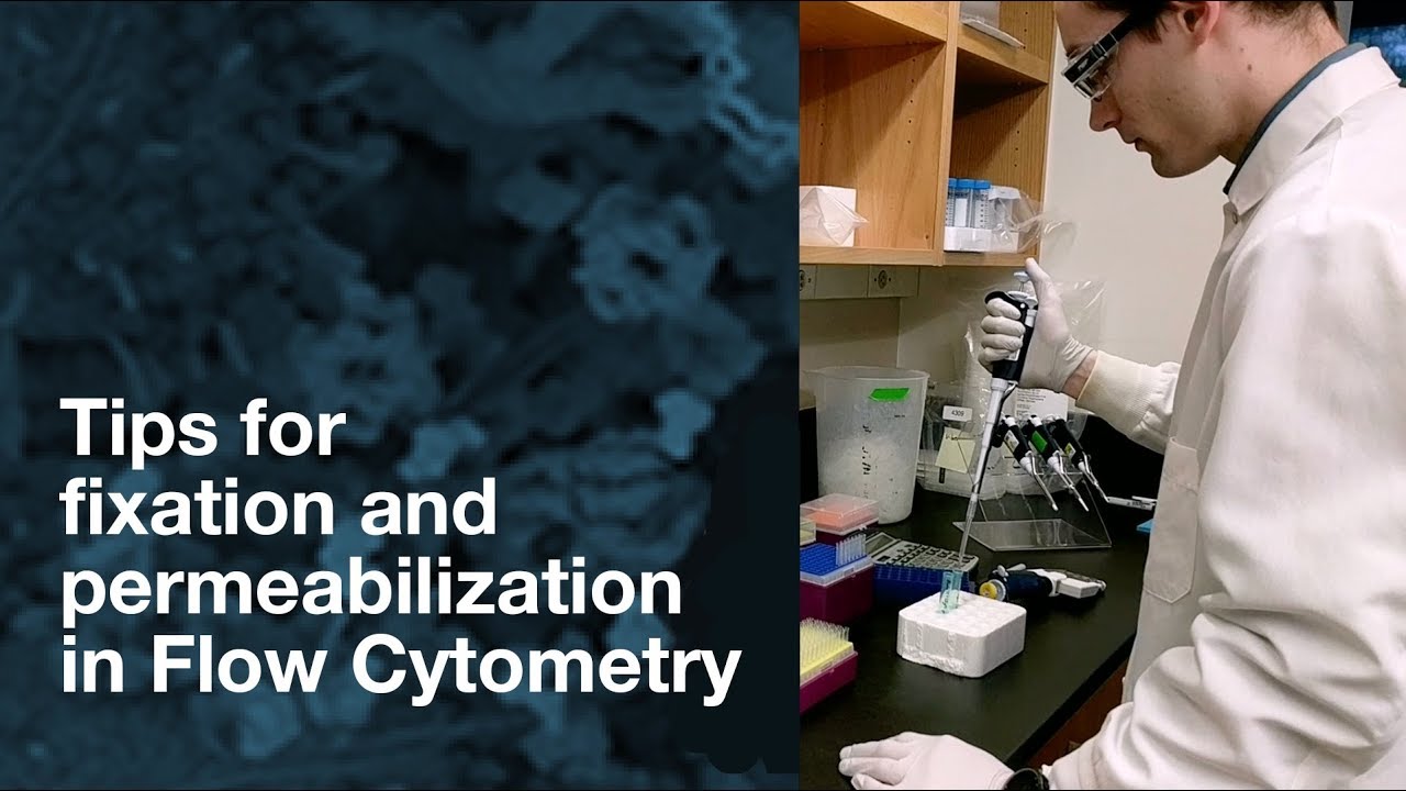 Flow Cytometry: Tips for Fixation & Permeabilization | CST Tech Tips