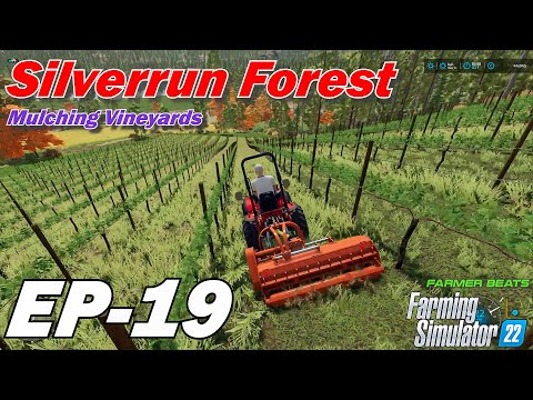 EP19 MULCH GRAPES WHAT IS BEST MULCHER?? #Gameplay #Timelapse #FarmingSimulator22 #FS22 #LS22 Music