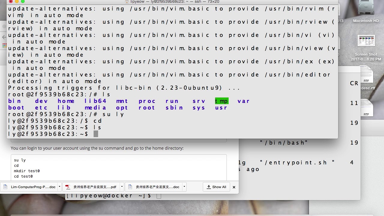 2018/01/16 Socket Programming in Python using Docker Containers
