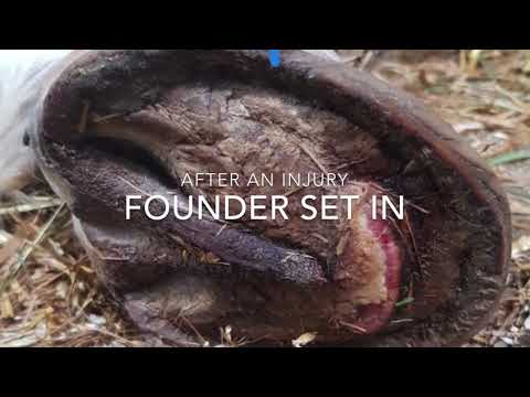 Severe Founder Rehab