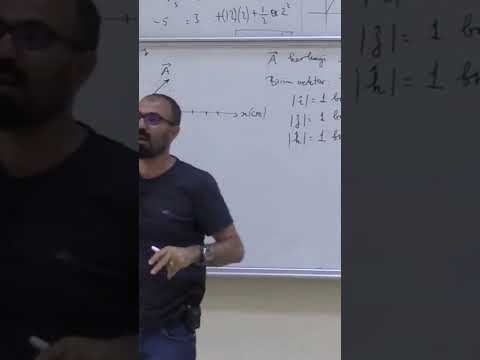 vektorler'den