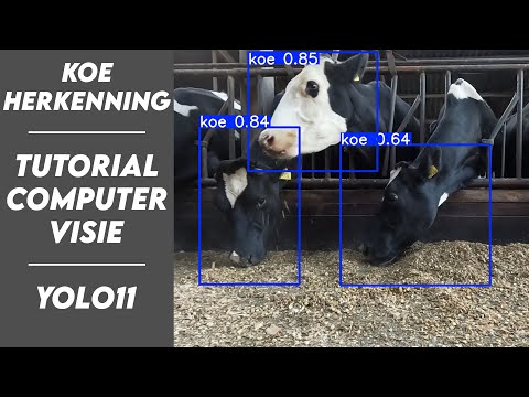 Tutorial Computervisie: Objectherkenning met YOLOv11 (Gratis!)