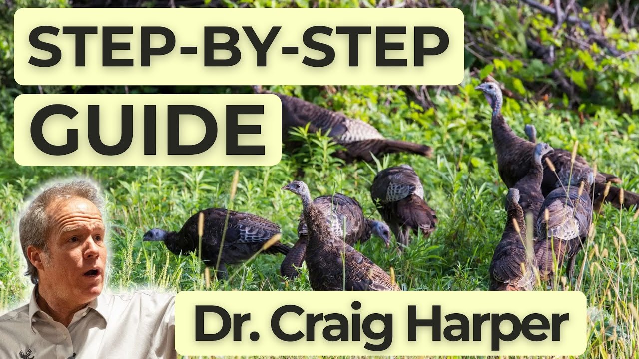 Managing nesting & brooding cover | Ep 137