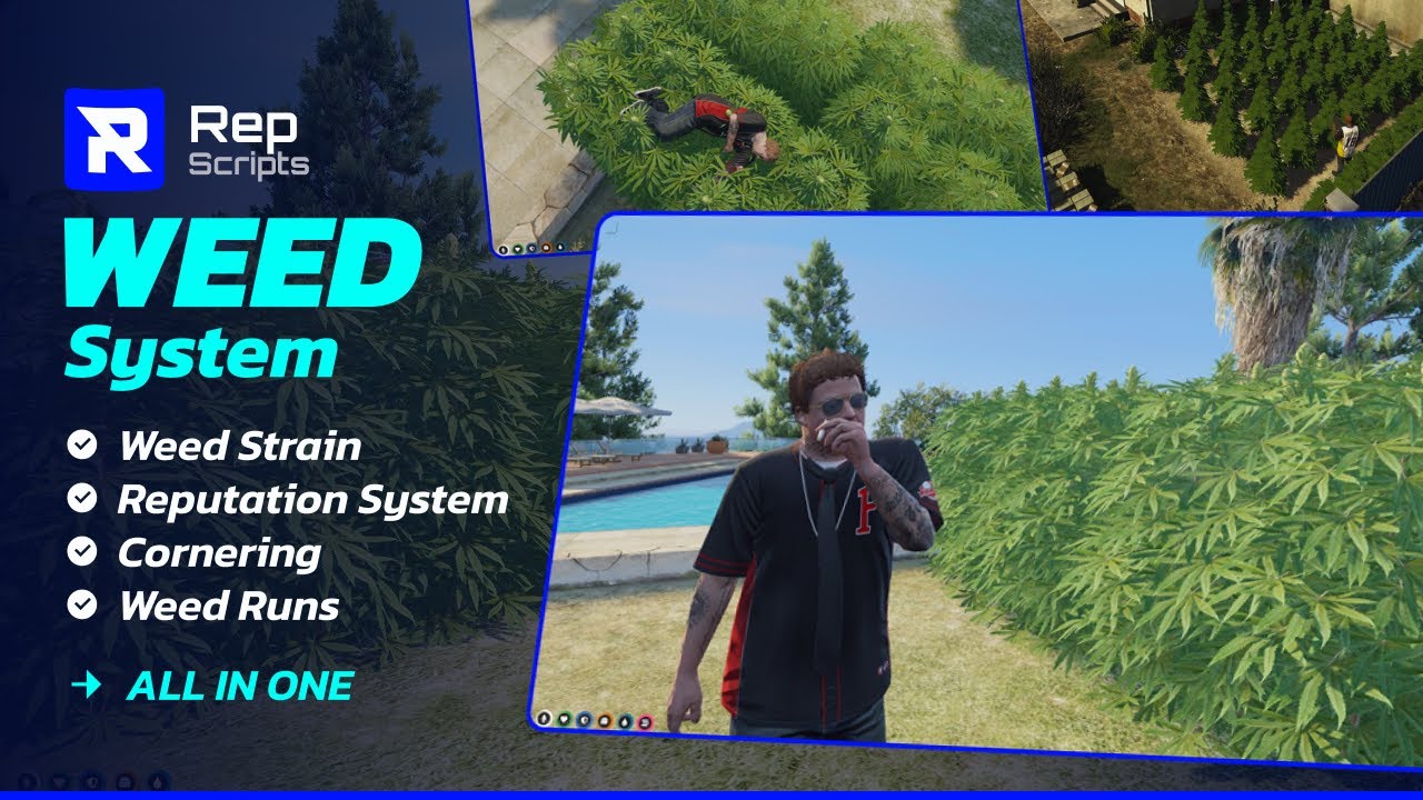 STRAIN REPUTATION WEED SYSTEM | REP SCRIPTS FIVEM | https://rep.tebex.io/
