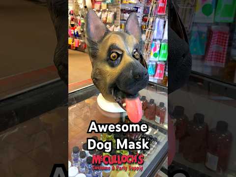 We love this German Shepherd Dog Mask with the tongue hanging out. #costume #dog #shortsvideo
