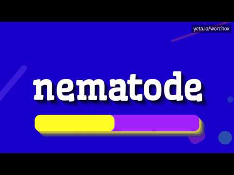 HOW TO PRONOUNCE NEMATODE? QUICK AND EASY!