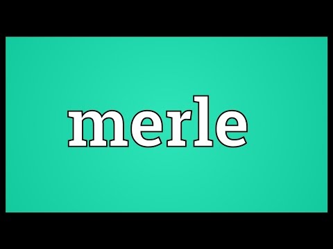 Merle Meaning