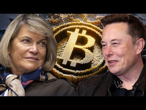 Bitcoin-owning Senator tweets to Tesla CEO Elon Musk