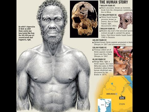Haplogroup A - The Genetic Search For The Descendants of Adam