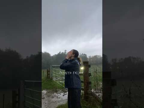 pathetic fallacy: the reality of mental illness