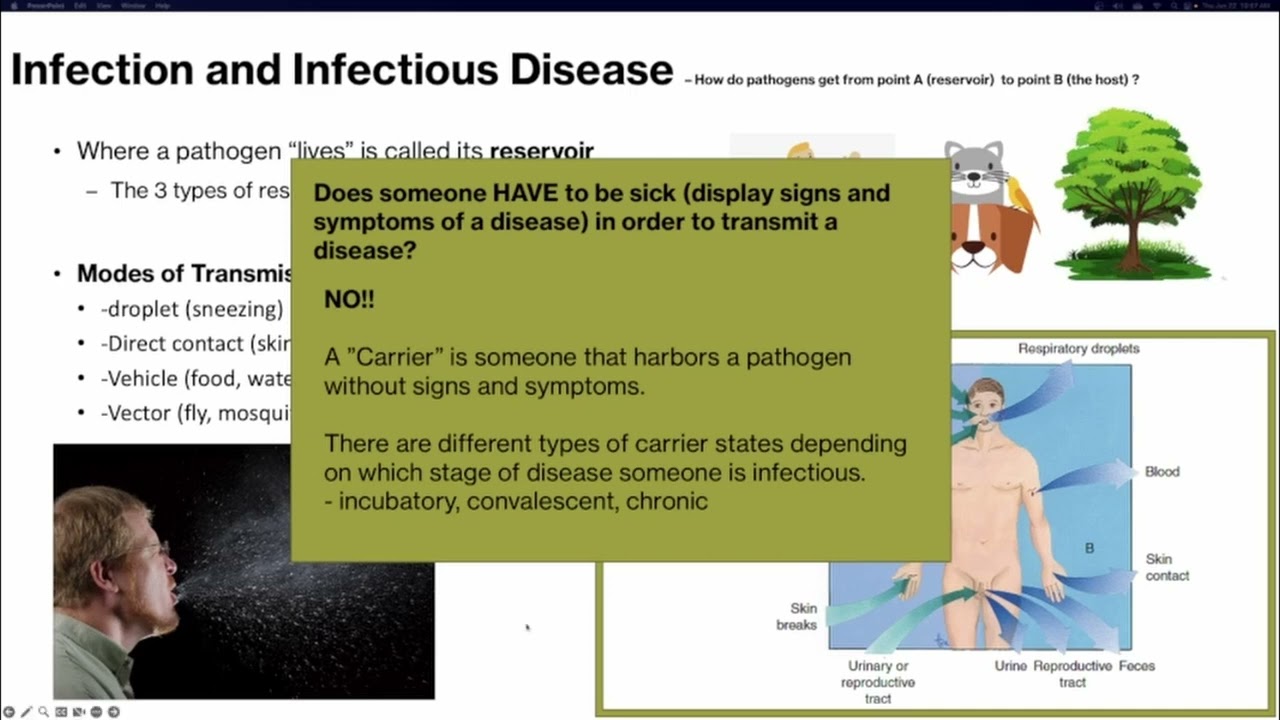 Microbiology Exam 3 Review