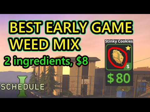 Schedule 1 Best Mix Early. Best Early Weed Mix in Schedule 1, Best Early Game Weed Mix in Schedule 1
