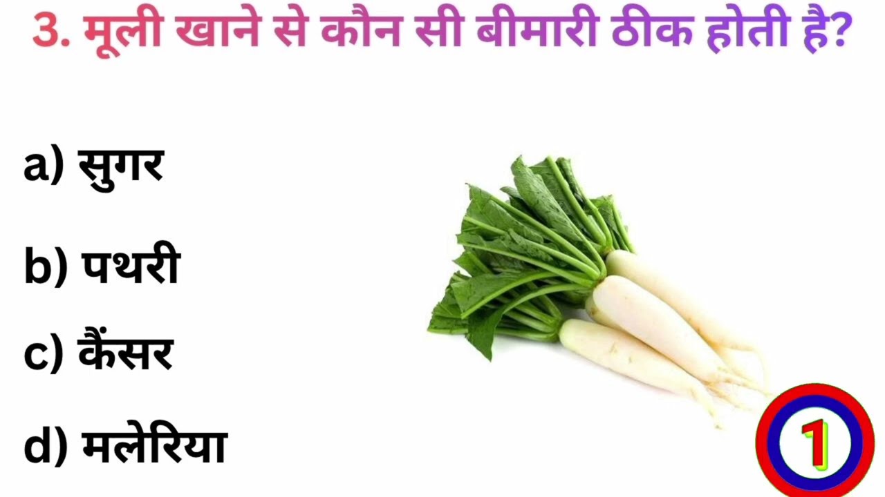 General Knowledge Most Important Question GK Quiz... @study Point #education #gk 