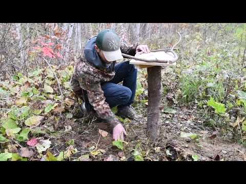 Quick and Easy Platform Bird Feeder