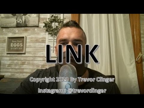 What Does LINK Stand For?
