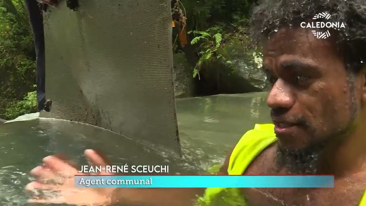 À Poindimié, des travaux pour rétablir la distribution d'eau potable