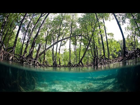 WHAT TO DO IN AO NANG? BEST LAND TOURS IN KRABI, THAILAND by @THALASSATOUR